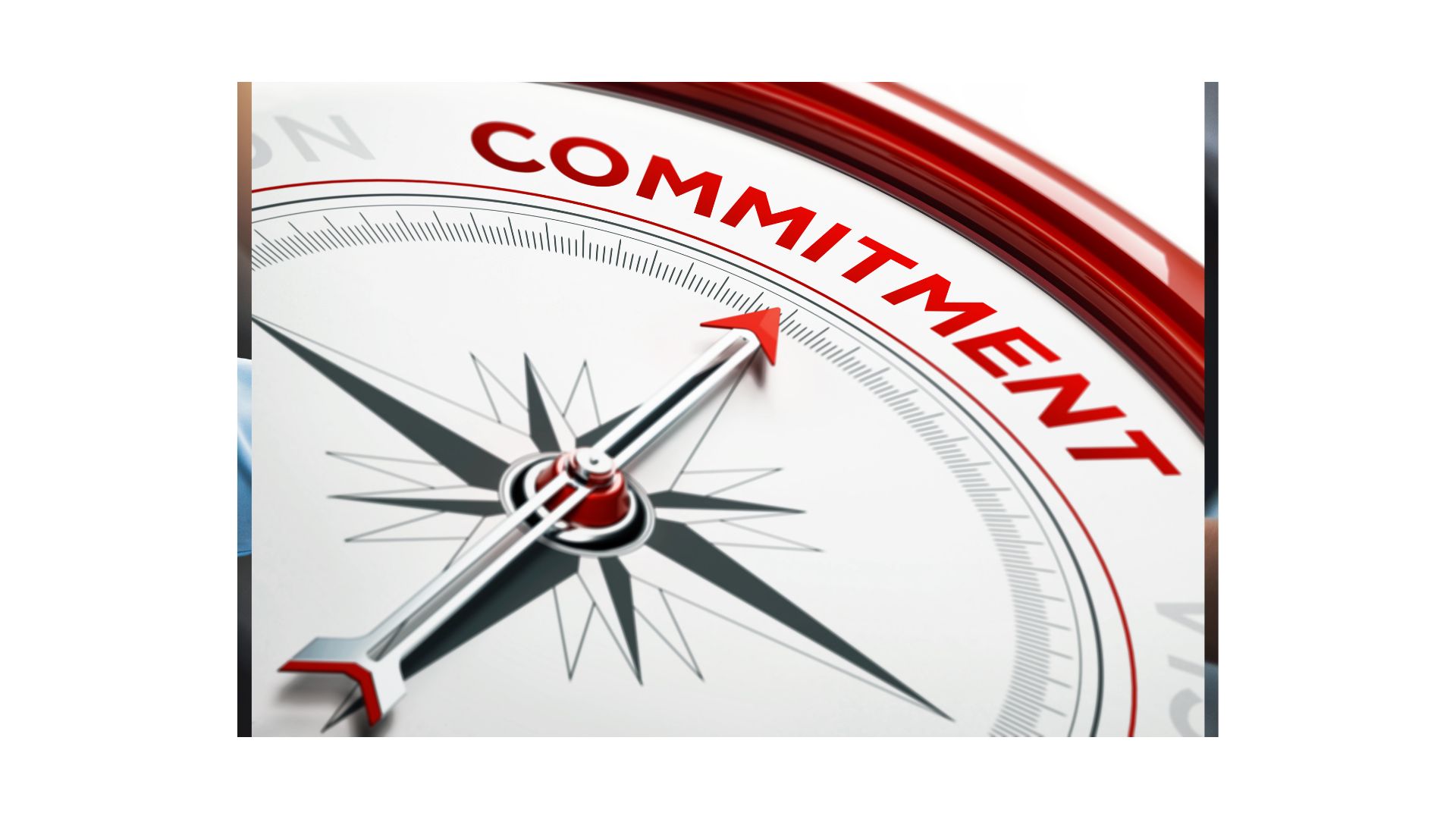 Strategic College Sports Consulting by Bryant College Coaching